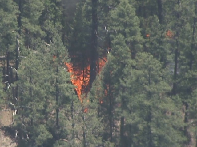 Reservoir Fire update: Abandoned campfire caused wildfire burning north ...