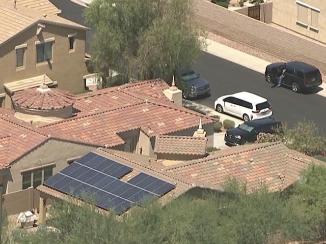 100+ pot plants found in major marijuana ring bust in the west Valley ...