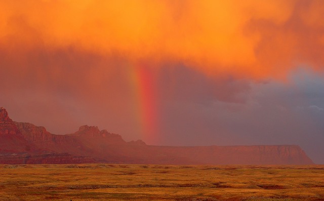 This Arizona restaurant is located in the middle of nowhere - ABC15 Arizona