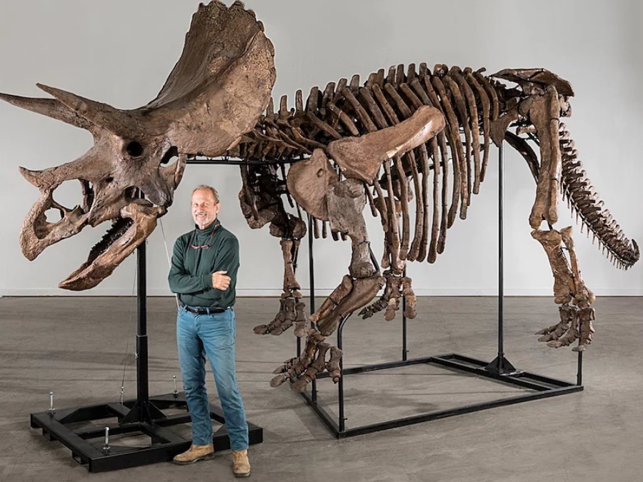 Tucson Mineral & Fossil Co-Op: Buy a dinosaur skeleton for $1.2M or ...