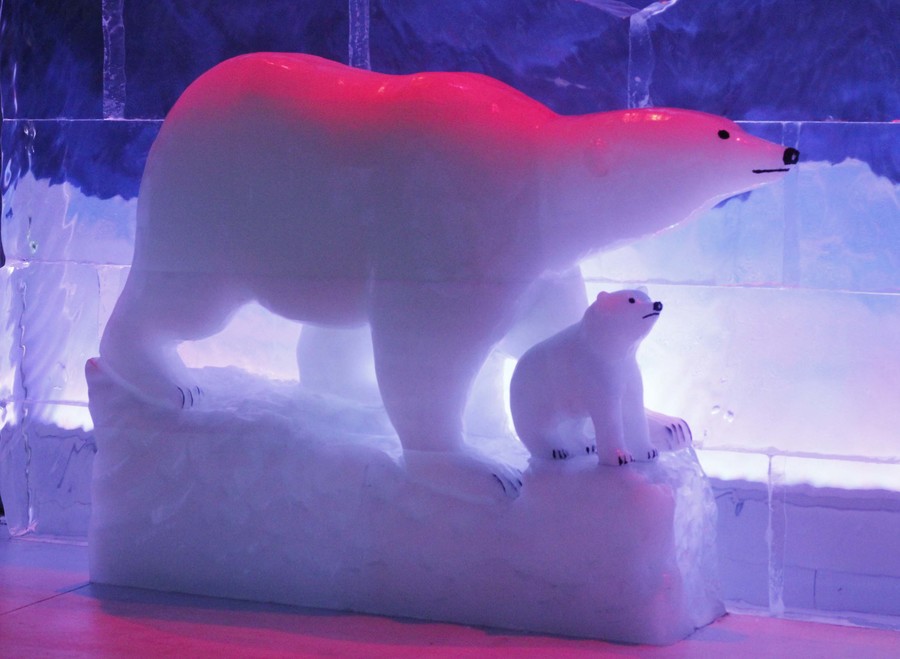 Polar Play: Arizona ice bar coming to Odysea in the Desert - abc15.com ...