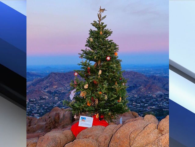 The Camelback Christmas tree returns, just in time for the holidays ...