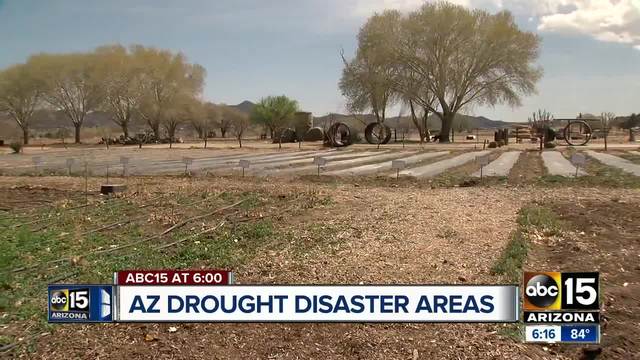 USDA designates Yavapai County a 'primary natural disaster area ...