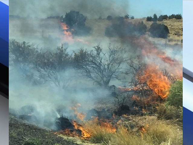 Heber-Overgaard fire: Wildfire grows to nearly 5,000 acres - ABC15 Arizona