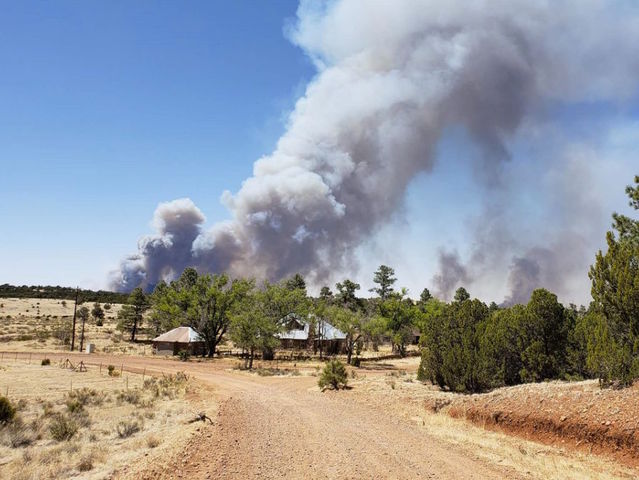 Heber-Overgaard fire: Wildfire grows to nearly 5,000 acres - ABC15 Arizona