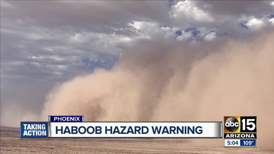 What's in a haboob? Poop and Valley Fever spores - ABC15 Arizona