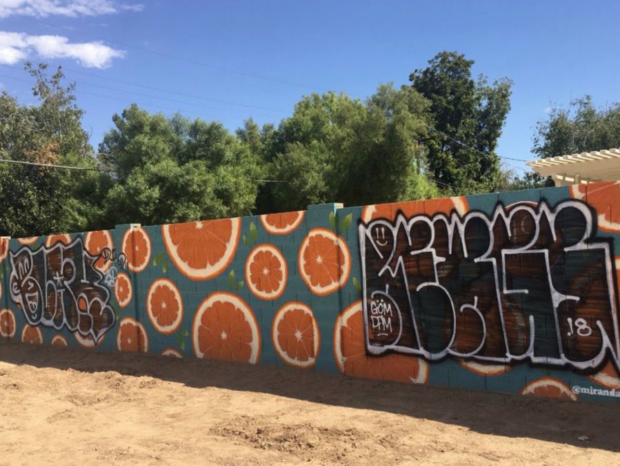Phoenix community goes after graffiti artist online after mural is ...