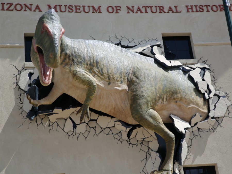 National Museum Day: Visit 15 Phoenix-area museums for free on Saturday ...