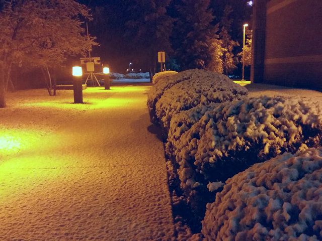 Phoenix, Arizona News and Weather | ABC15 Arizona